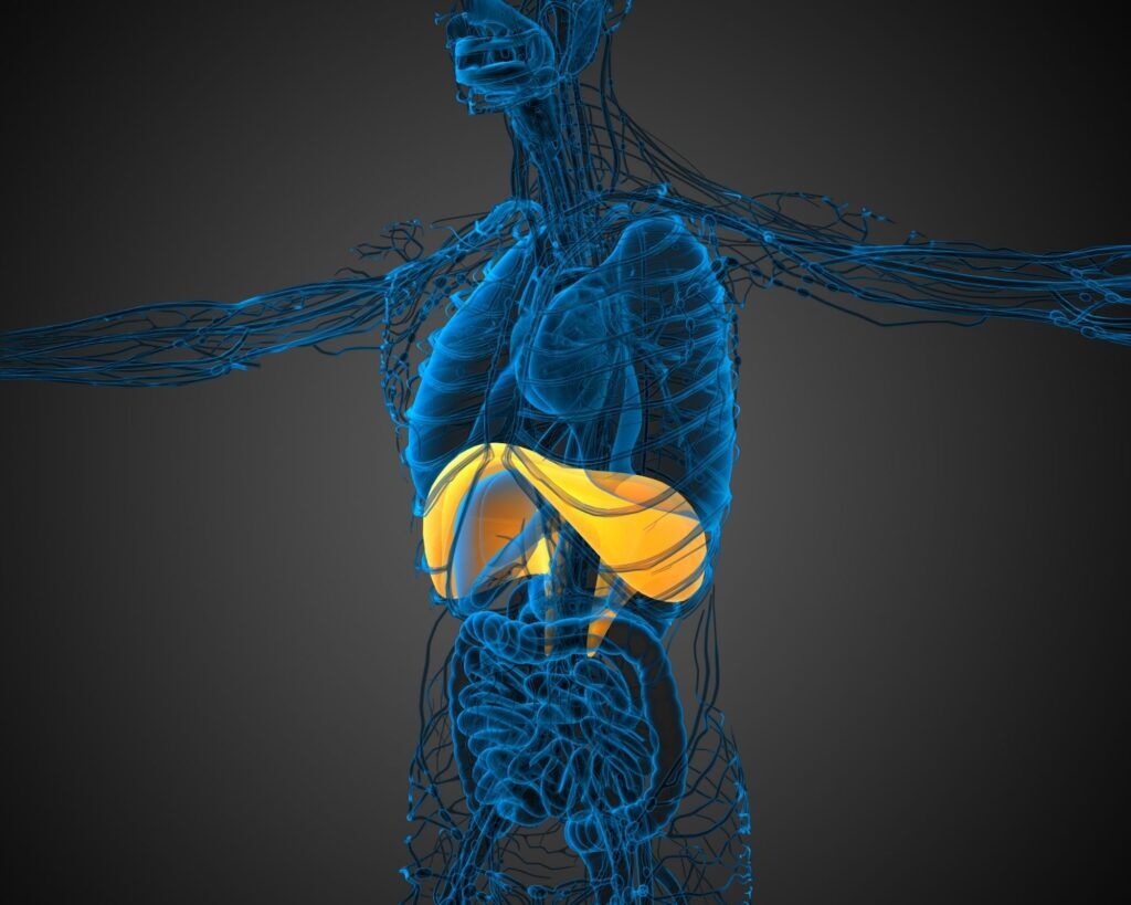 Diaphragm Diseases - Thoracic Surgery - Lung Cancer Surgery - VATS